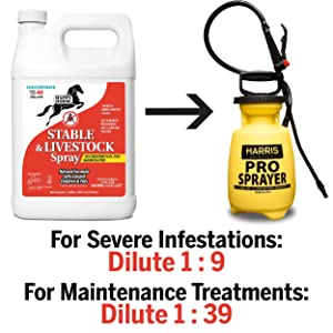 Stable & Livestock Fly Spray Concentrate - Lakeland, FL - Lay's Western ...