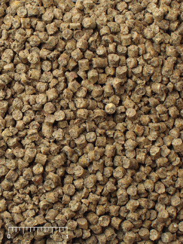 Mazuri Ratite Starter Diet 40lbs - Lakeland, FL - Lay's Western Wear ...