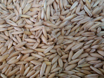 Naturals Whole Oats 50lbs - Lakeland, FL - Lay's Western Wear and Feed